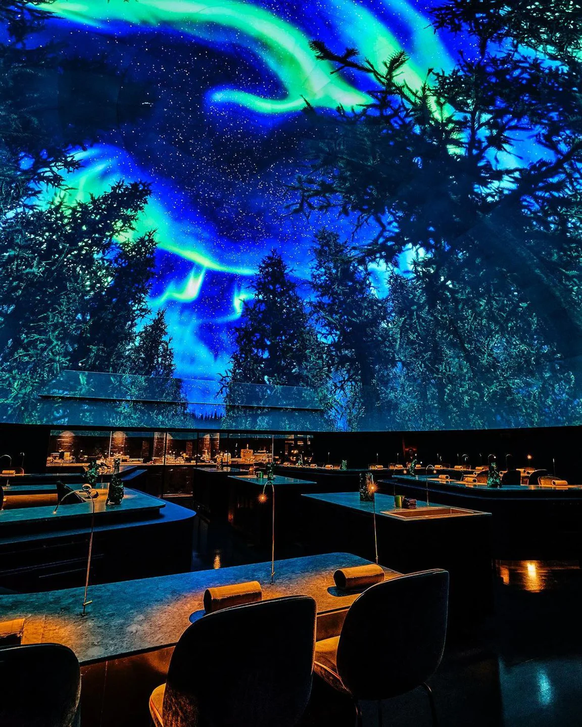 The TOP 10 Restaurant in Copenhagen
